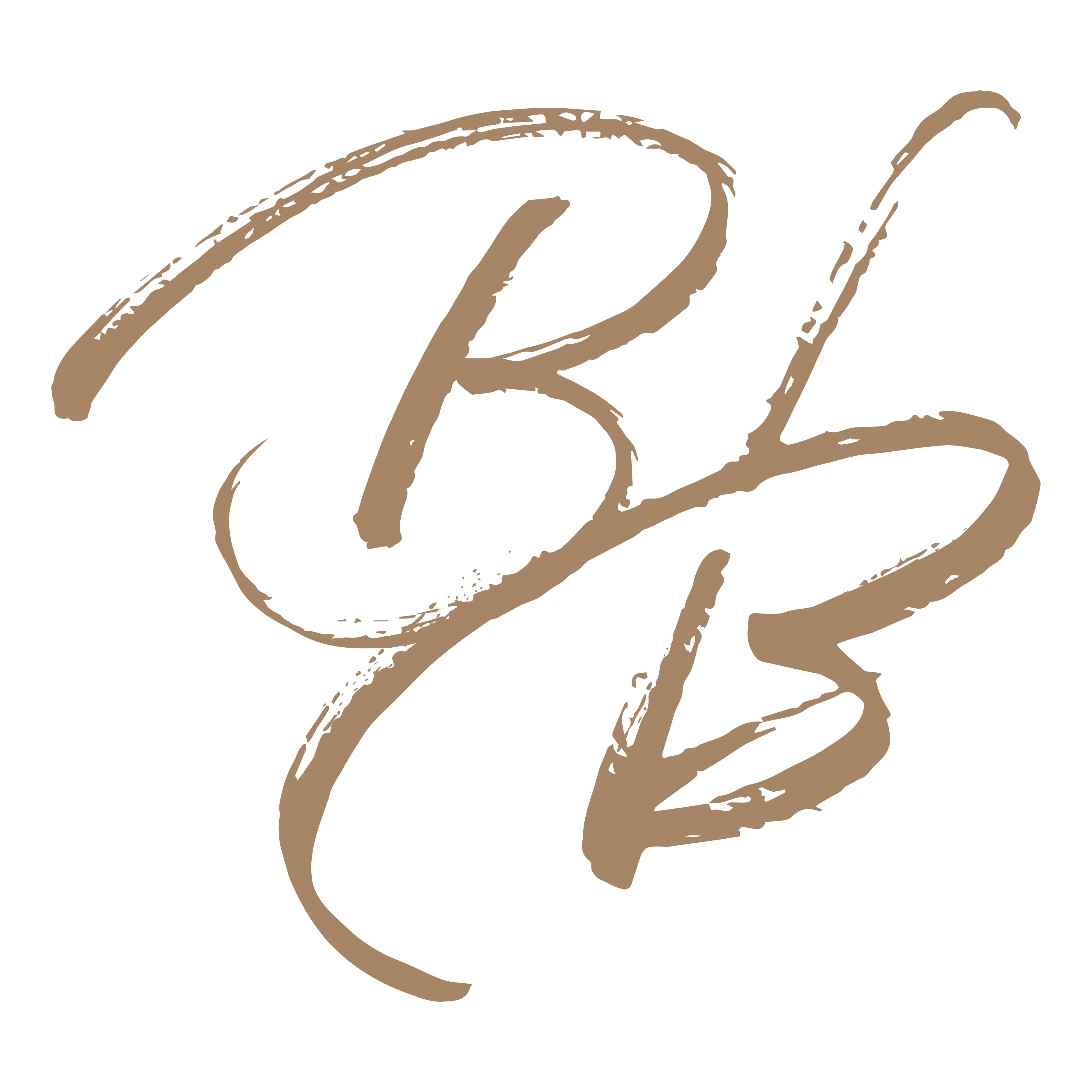 Your Artist – Bronzed Hide and Beauty